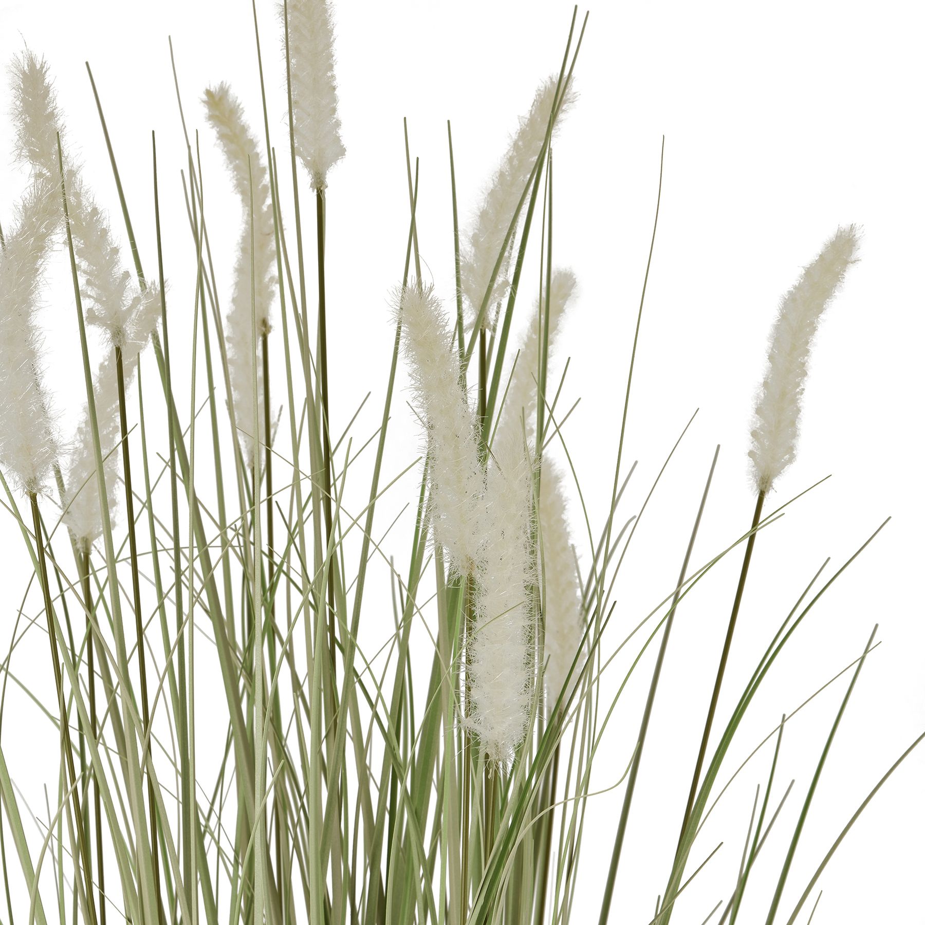 Large Bunny Tail Grass Wholesale By Hill Interiors