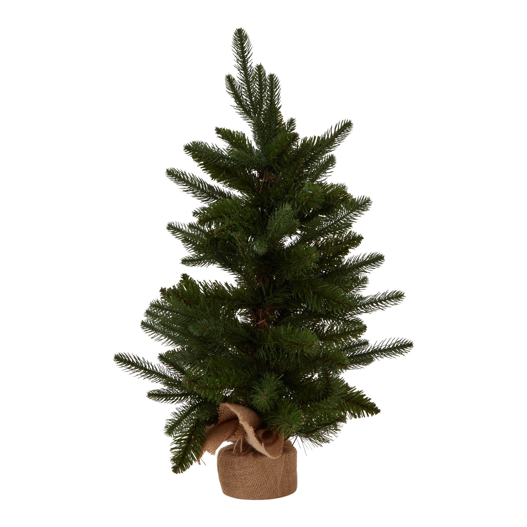 Medium Spruce Tree In Hessian Wrap | Wholesale by Hill Interiors